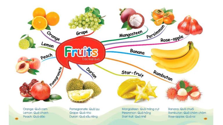 86 mẫu sơ đồ tư duy theo chủ đề để học tiếng Anh cho trẻ