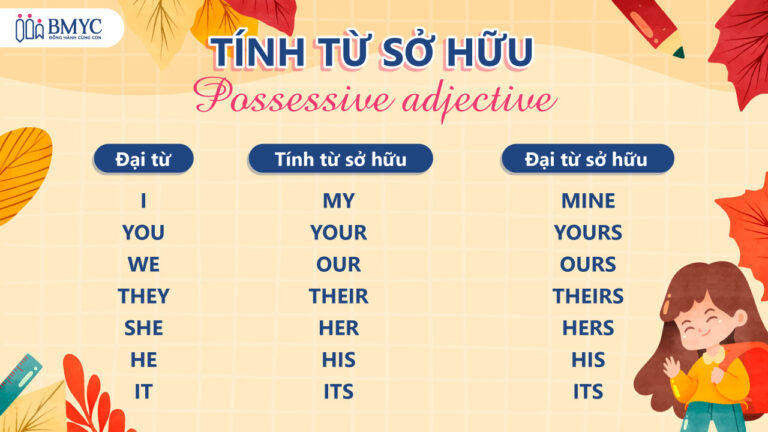 Tính từ sở hữu: công thức, cách dùng và bài tập vận dụng
